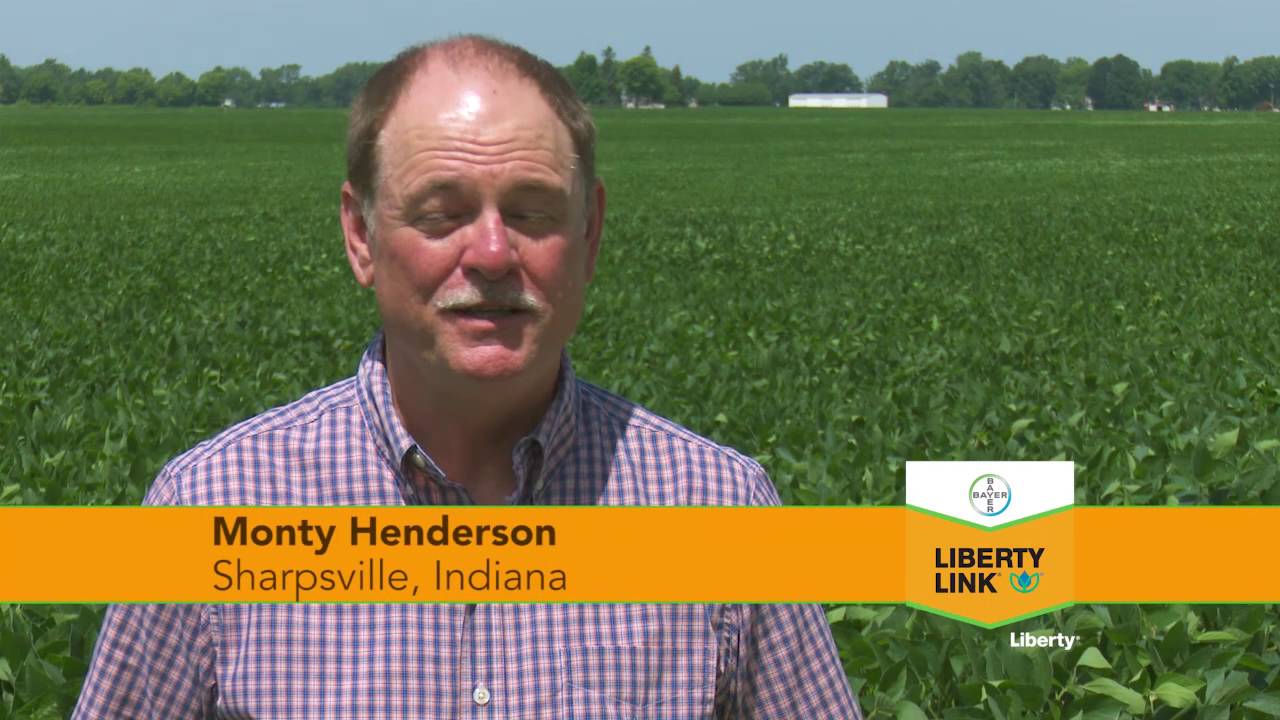 6/25/2016 U.S. Farm Report - YouTube