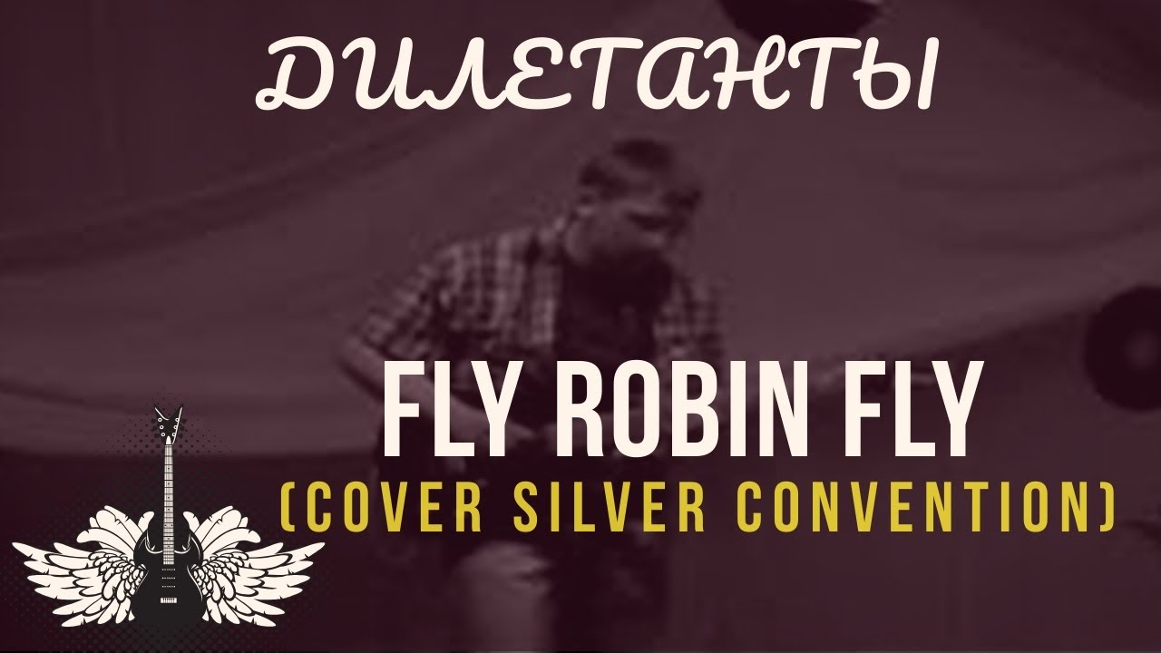Дилетанты-Fly Robin Fly - YouTube