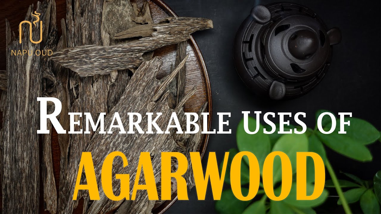 What Is Agarwood Uses? Benefits of Oud? - YouTube