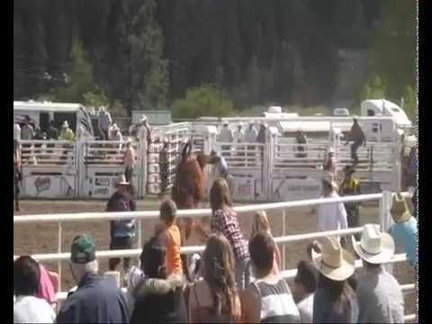 Falkland Rodeo - YouTube
