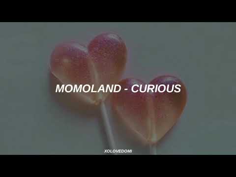 Momoland - Curious // Sub Español