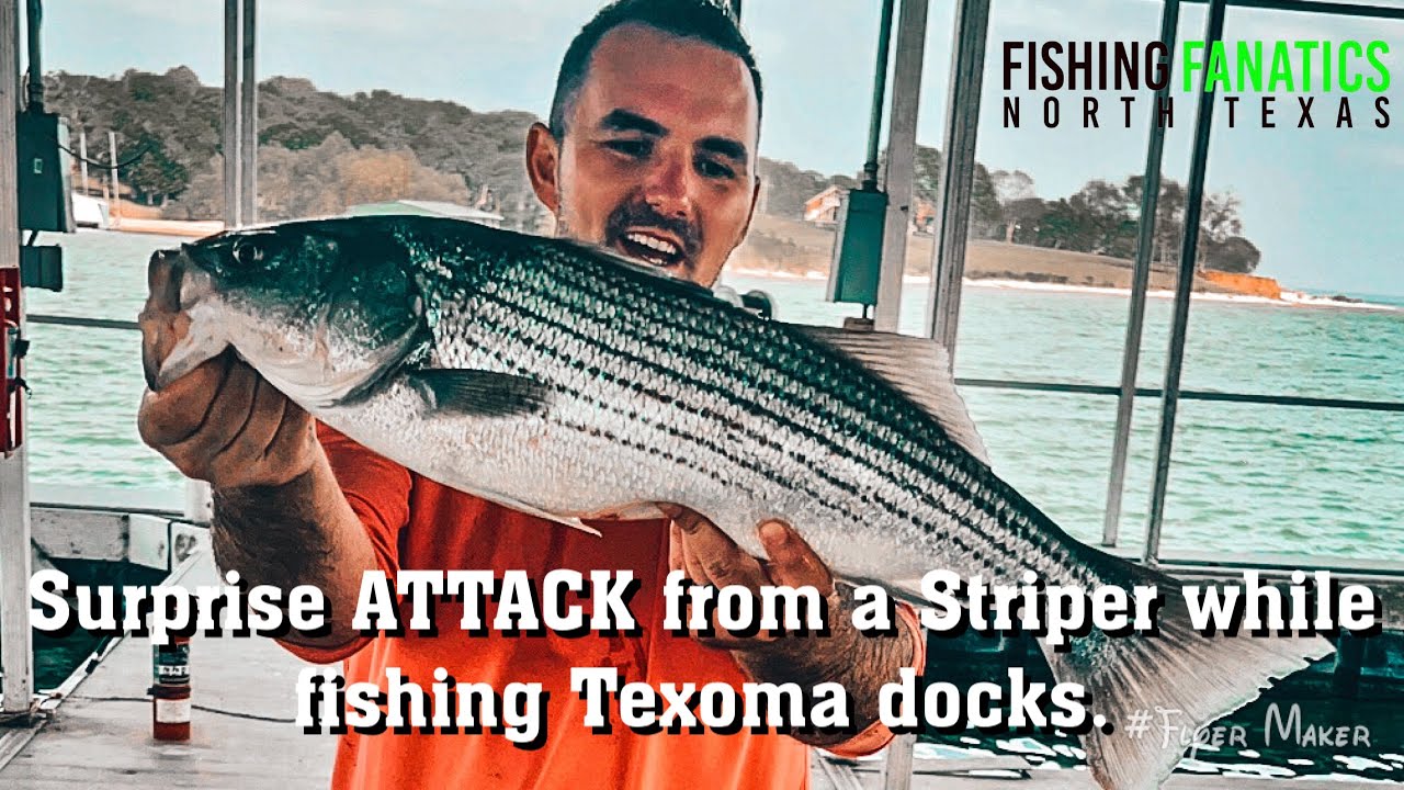 Surprise ATTACK from Striped Bass while fishing Docks at Texoma Lake ...