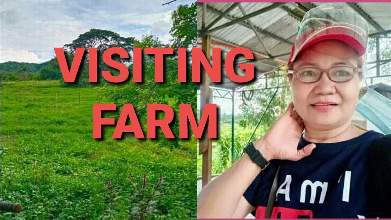 Visiting farm Tarlac - YouTube