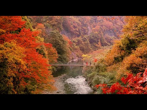 Takeshi Kitano's Dolls   Beautiful Scenery
