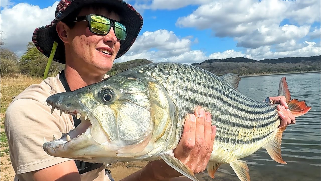 Hooked into Monster Fish in Zimbabwe 🇿🇼 (Tiger Fish and Sharptooth ...