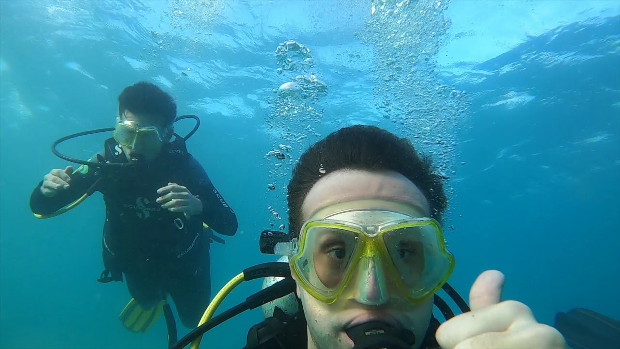 Blue Heron Bridge -- West Palm Beach, FL (Dive 3) - YouTube