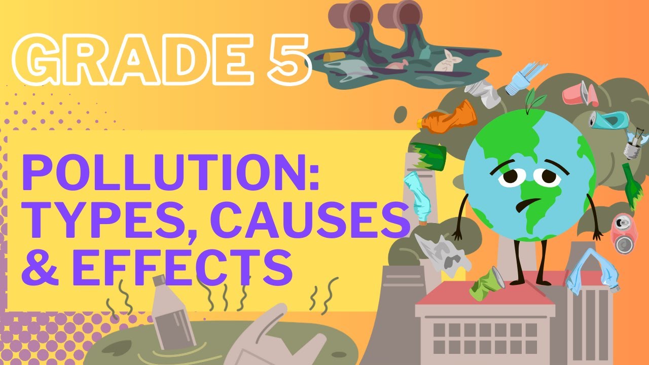 Grade 5 Pollution Explained for Kids, Types, Causes and Effects - YouTube