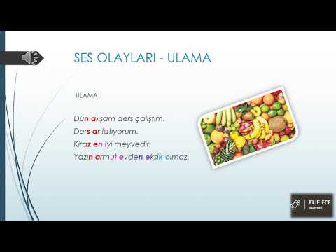 10- ULAMA - SES OLAYLARI / YABANCILARA TÜRKÇE ÖĞRETİMİ