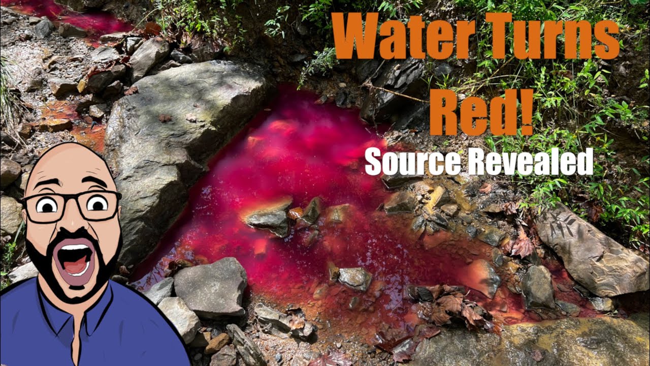 Water Turns Red - Source Revealed | TCC Research | 4K - YouTube