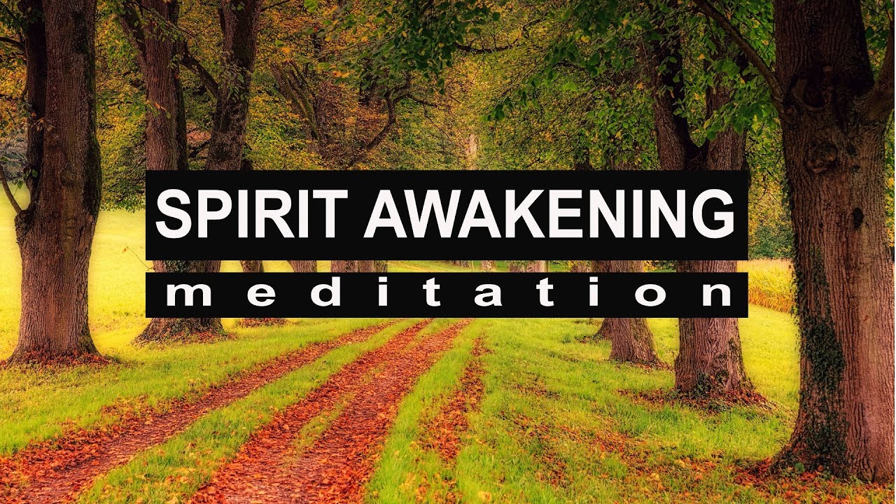 Recollection of death Maranasati Sutta A guided meditation by Bhikkhu ...