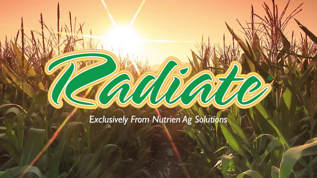 RADIATE®: Give Back To Your Roots - YouTube