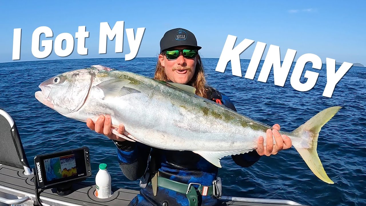 SPEARFISHING NEW ZEALAND Big kingfish & shark Encounter (Episode 74 ...