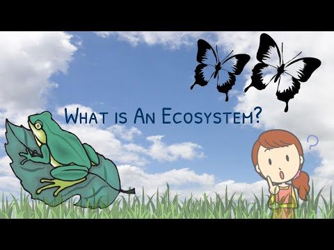 What is an Ecosystem | Habitat | Biotic | Abiotic | Components of ...