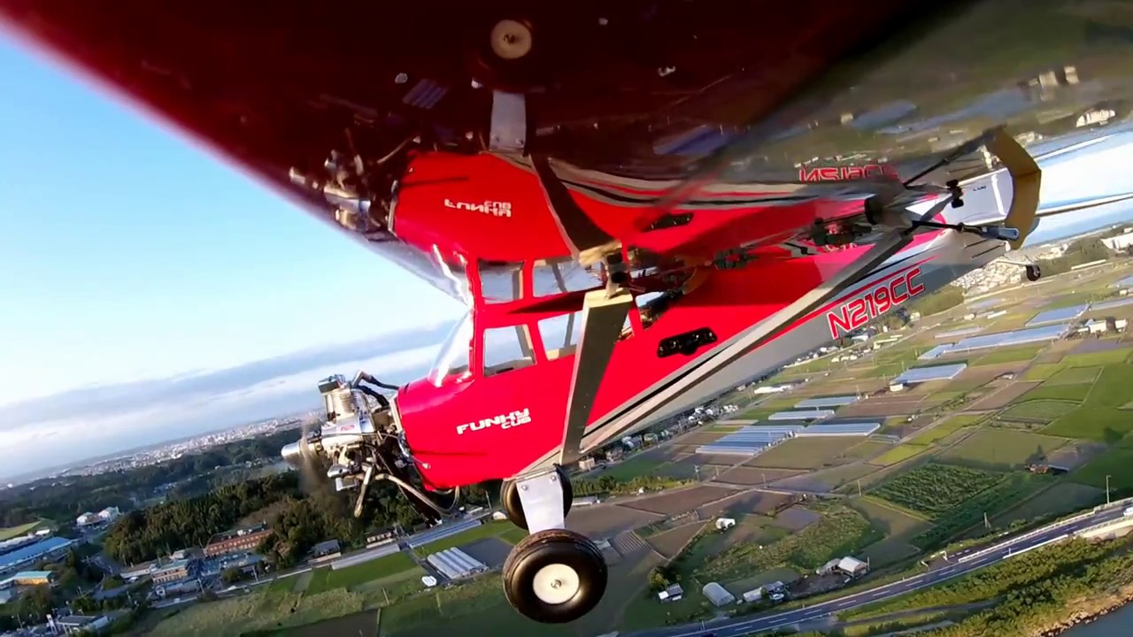 SEAGULL MODELS FUNKY CUB SAITO FG19R3 - YouTube