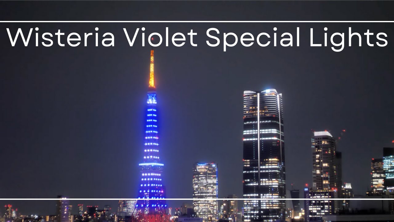 「藤色」特別ライトアップの東京タワー/Wisteria Violet Lights Tokyo Tower 2024.6.6 - YouTube