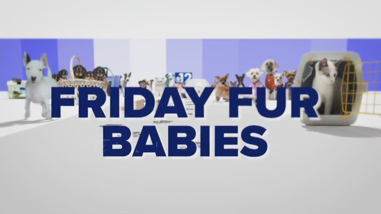 Friday Fur Babies: February 18, 2022 - YouTube