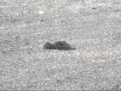 Tumbleweave - YouTube