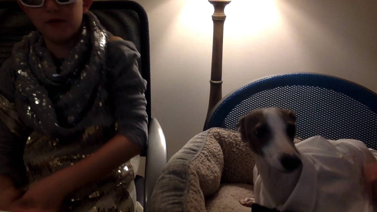 Talking Dog Teaches Children About Science!!! - YouTube