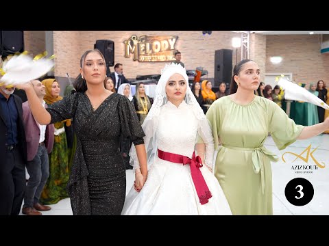 Daweta Menda / Sedat & Şehriban //  🎤 KoMa RoJ  Alican RoJ  // #kurdischehochzeit #kurdish