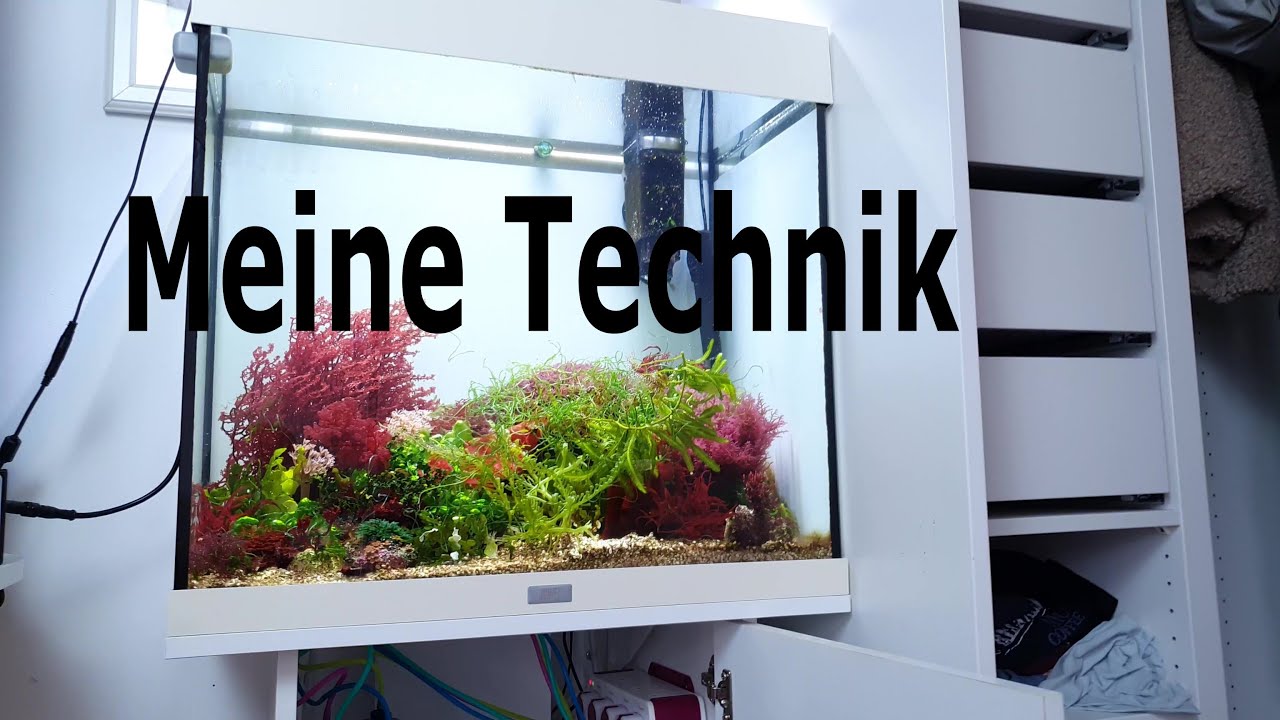 Ich stelle meine Technik vom Makroalgen Becken vor - YouTube