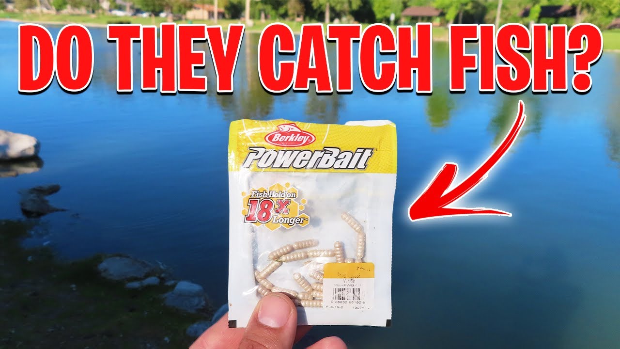 Berkley PowerBait Power Wiggler Challenge | Tri-City Lake Fishing - YouTube