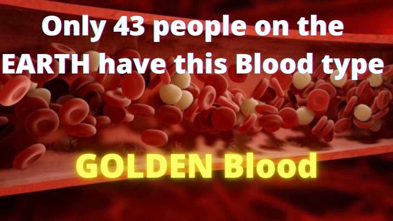 गोल्डेन ब्लड क्या है | What is Golden Blood | Rhnull Blood |GOLDEN ...