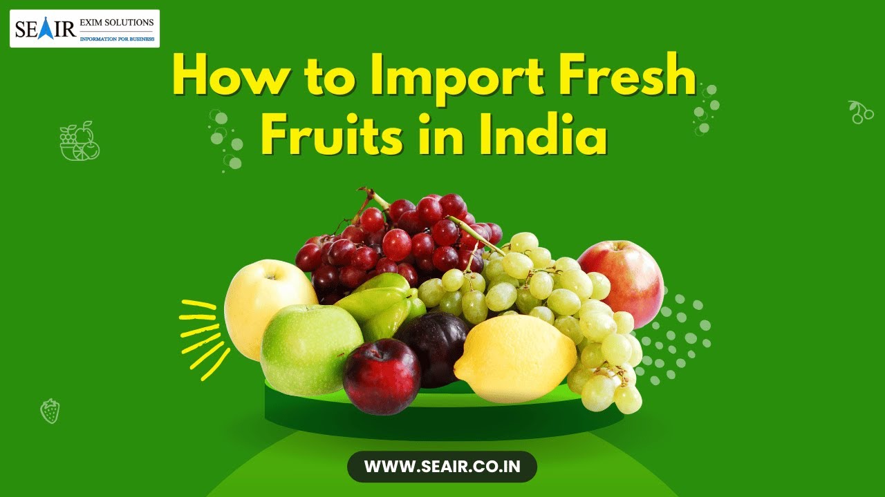 How to Import Fresh Fruits in India: Top Picks for Global Success - YouTube