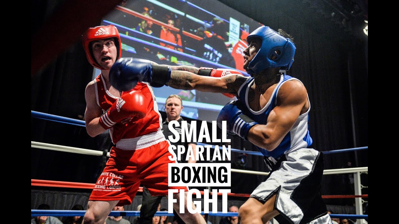 Small Spartan Boxing Knockout ? - YouTube