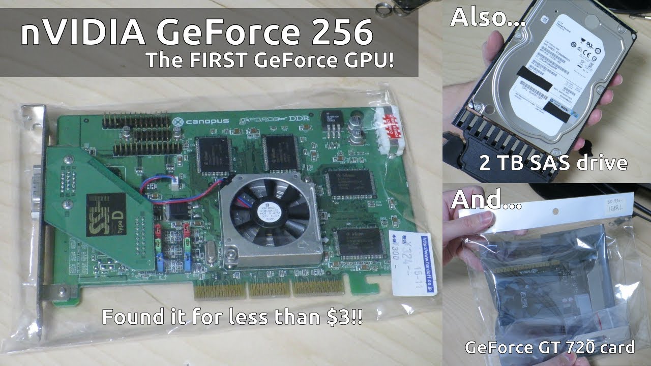 Low-end video card, surplus 2 TB SAS drive, and a FIRST gen GeForce GPU ...