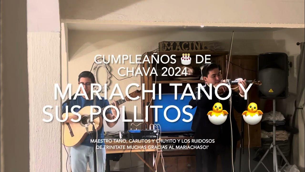 MARIACHI TANO Y SUS POLLITOS 🐣 🐣 🐣 🐣 MUCHAS GRACIAS A TODOS MIS AMIGOS ...