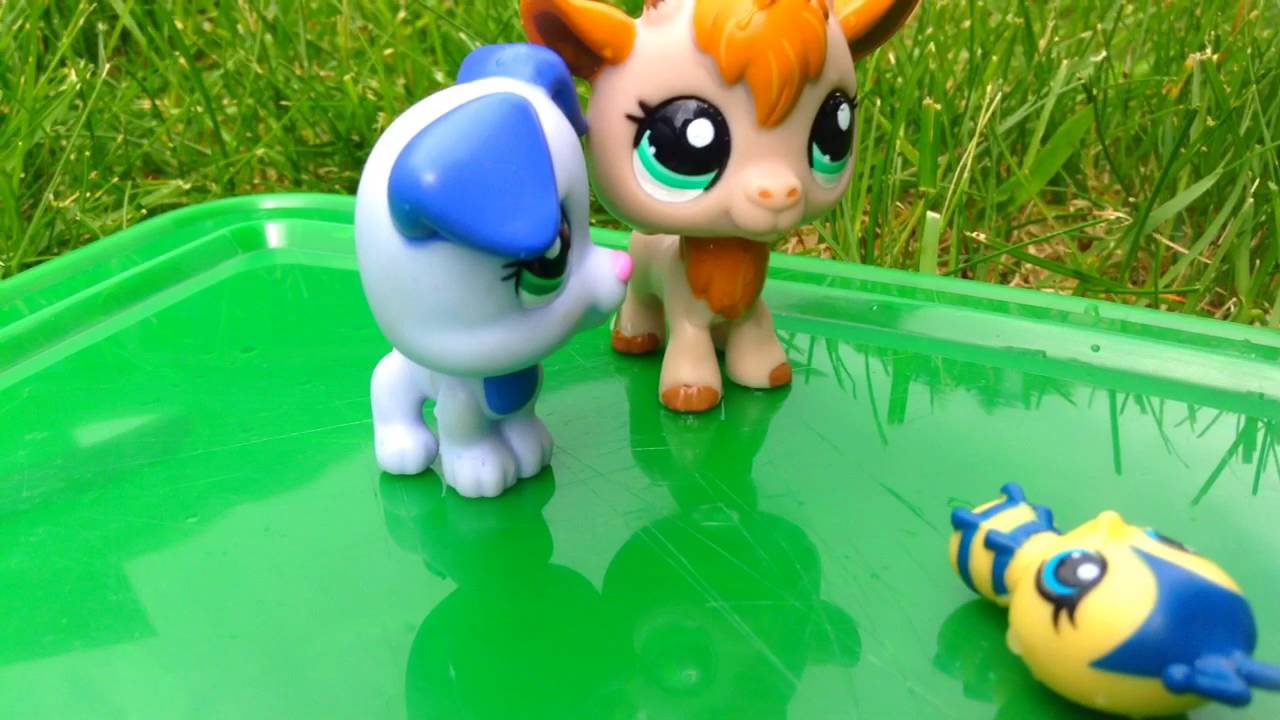 The Waterpark LPS - YouTube