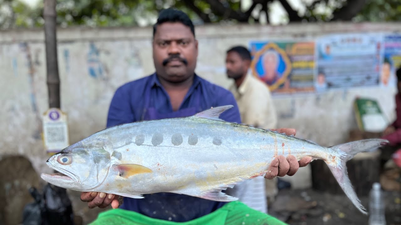 7kg travally fish cutting🔥🔪kasimedu fishing cutting 🔥awesome travally ...