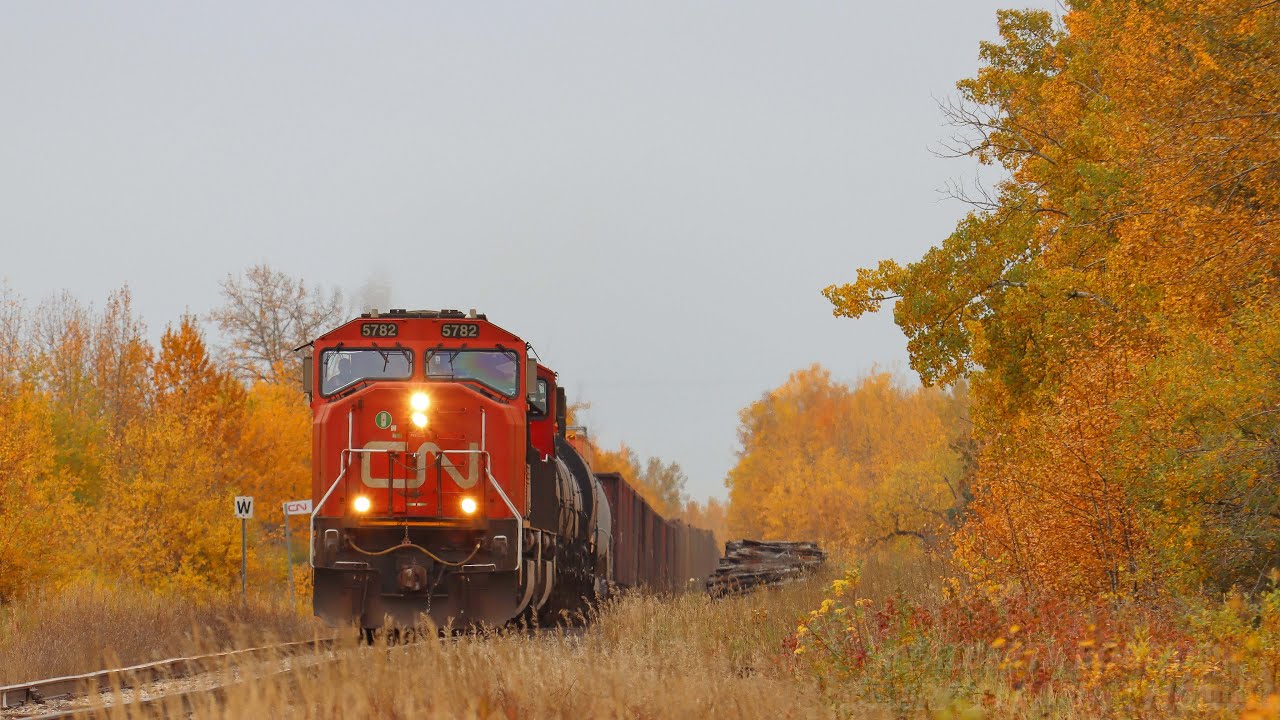 CN 5782 Leads an Autumn L557 Up the Coronado Subdivision! - YouTube