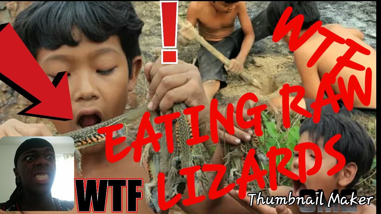 WILDLIFE KIDS EATING ALIVE LIZARDS!!!!!!!(REACTION) - YouTube
