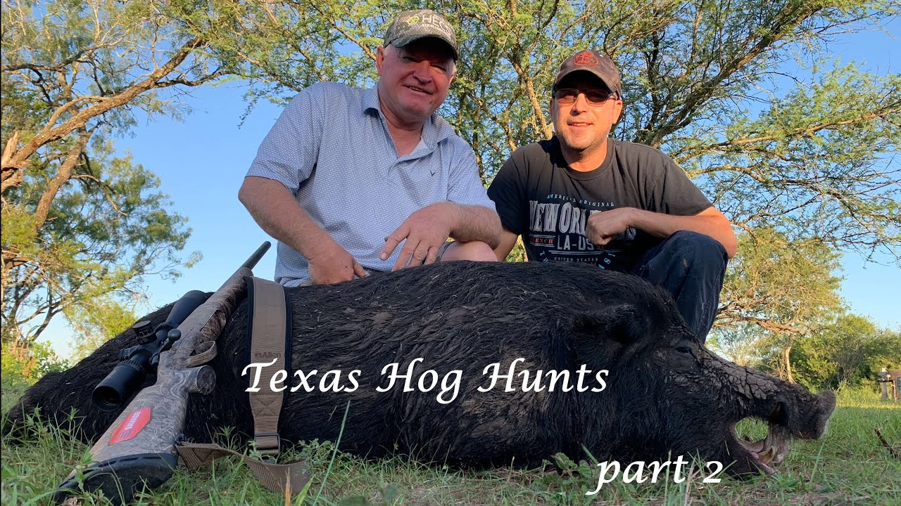 Texas Boar Hunts, part 2 - YouTube