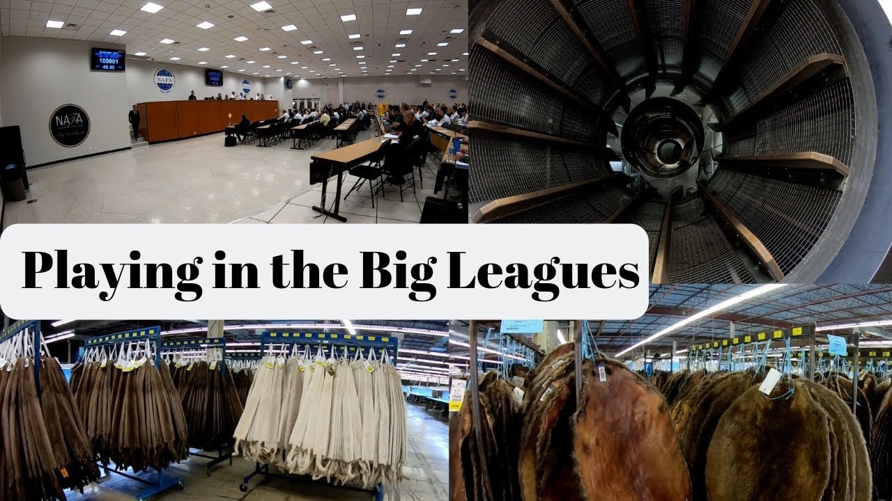NAFA's Winter Sale and Tour of Building - YouTube