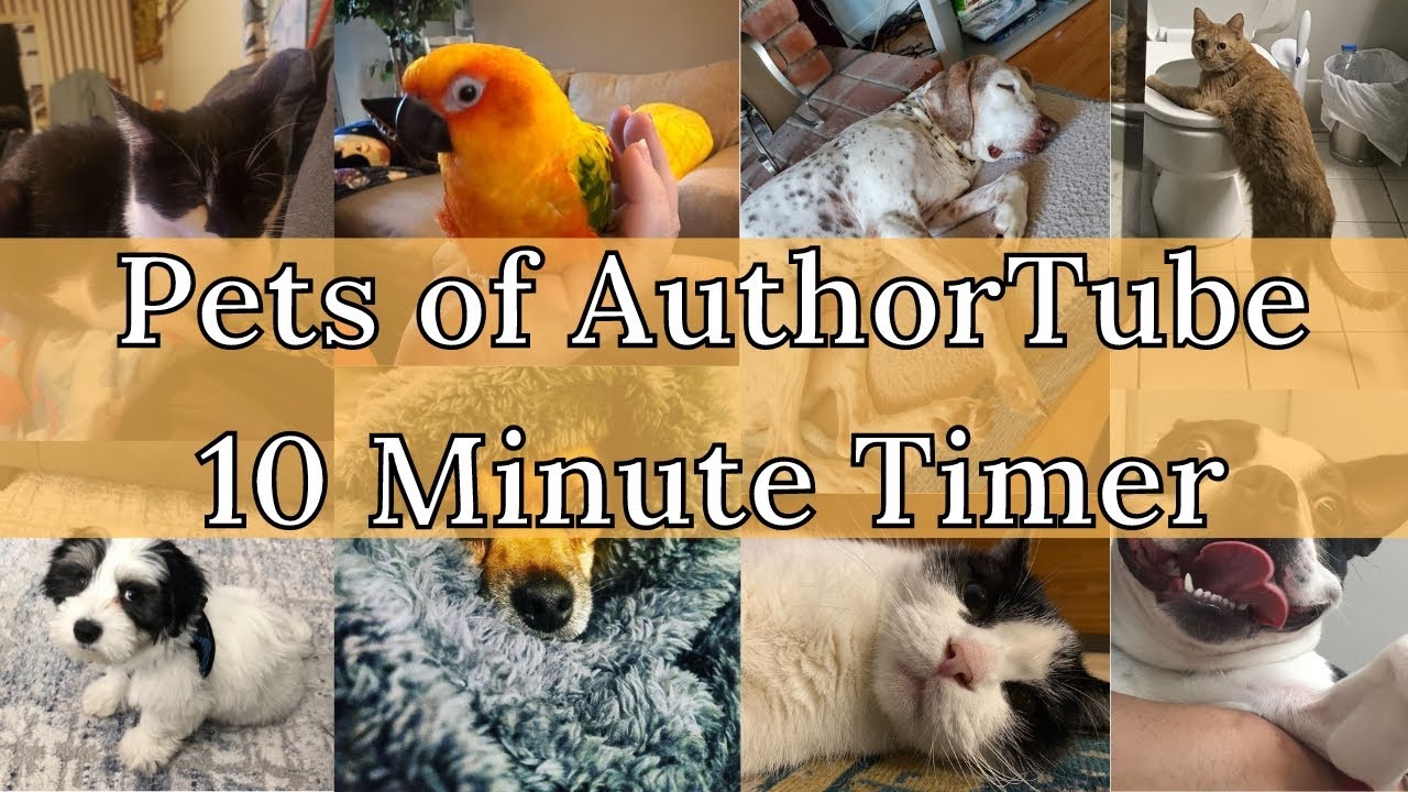 10 Minute Pets of AuthorTube Timer - YouTube