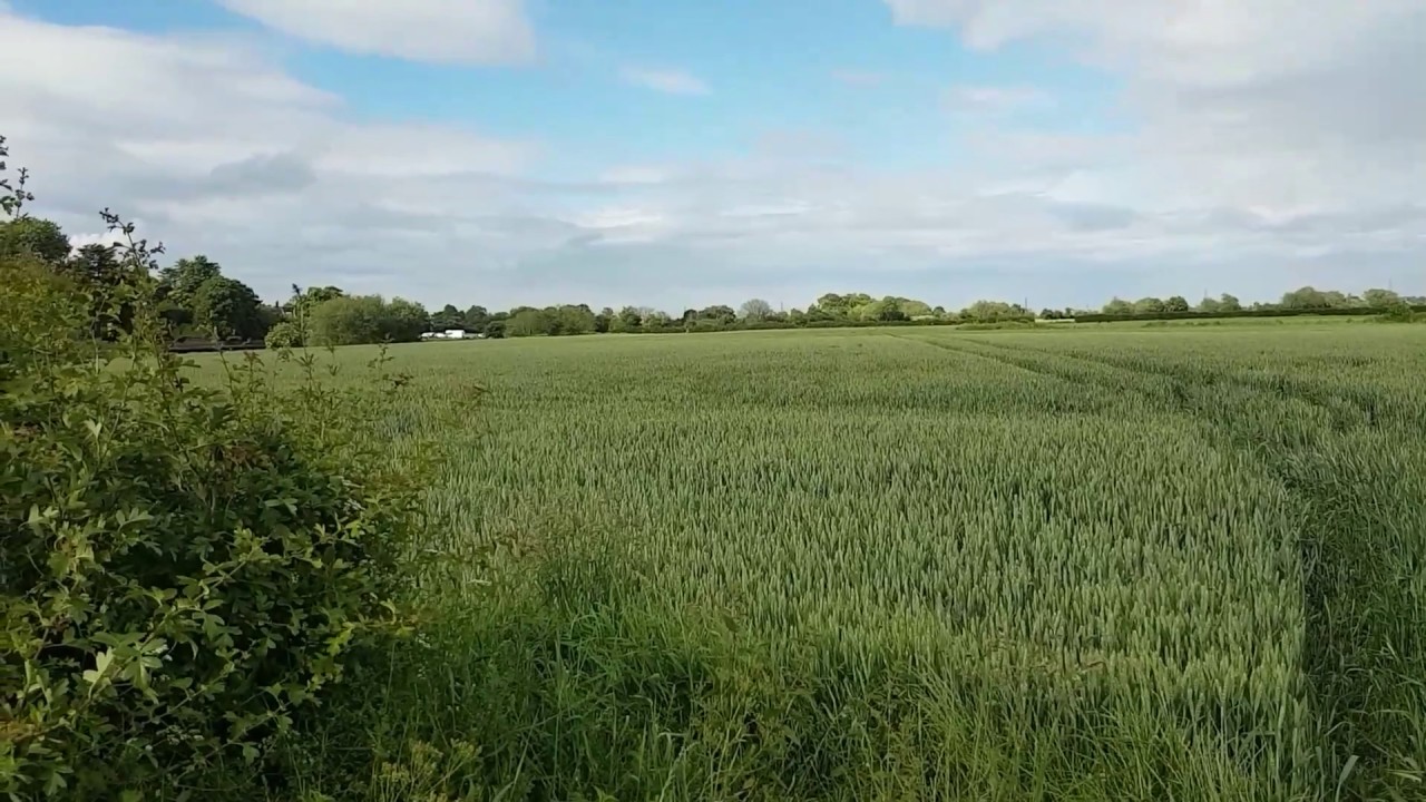 Haunted Battlefields : The Bloody Meadows of Stoke Field - YouTube