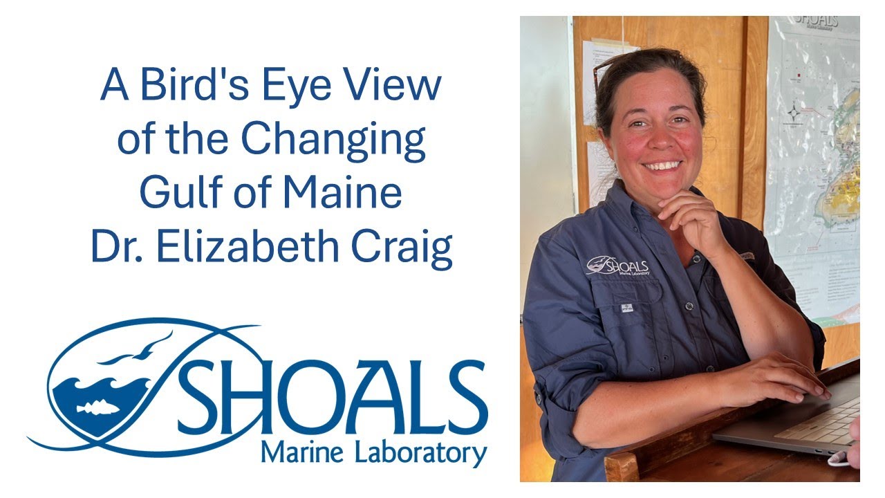 A bird’s eye view of a changing Gulf of Maine - Dr. Elizabeth Craig ...