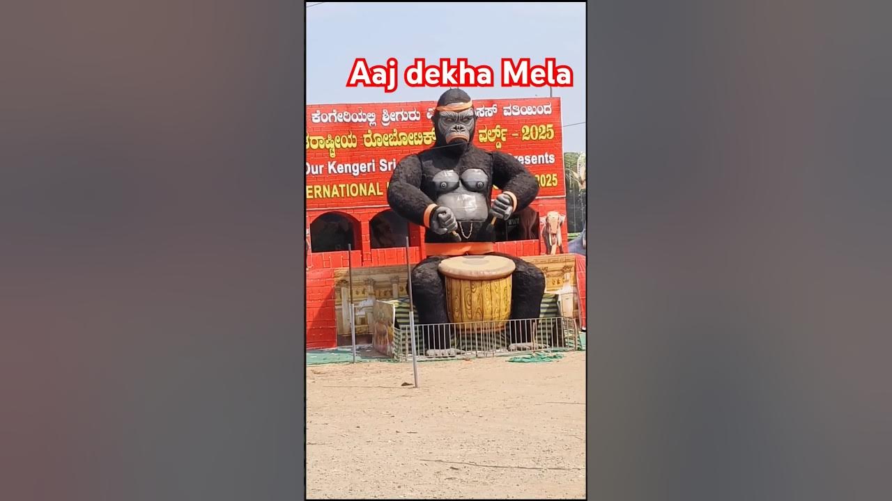 Aaj mele mein Kya hua #minivlog #shorts #bangalore #youtubeshorts #trending #viralvideo - YouTube