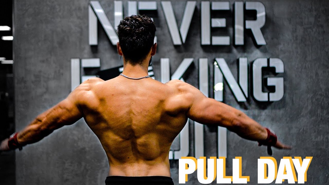 Full Back Day / Legends Barbell - YouTube