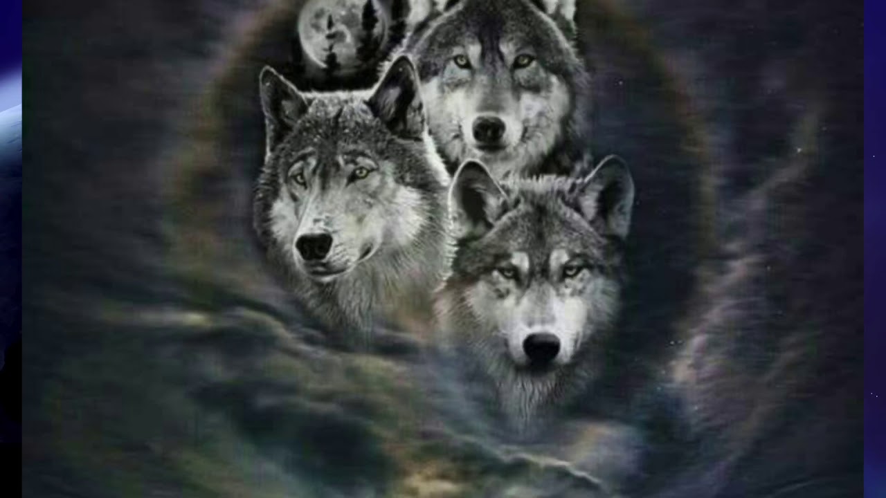 House of wolves intro re edit - YouTube