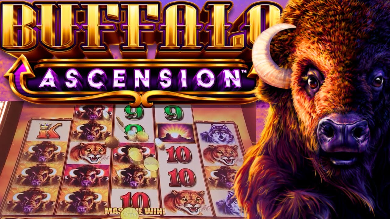 💥💥BUFFALO ASCENSION BACK TO BACK FREE SPINS💥💥 TRIGGERS 3X 5X SPINS ...