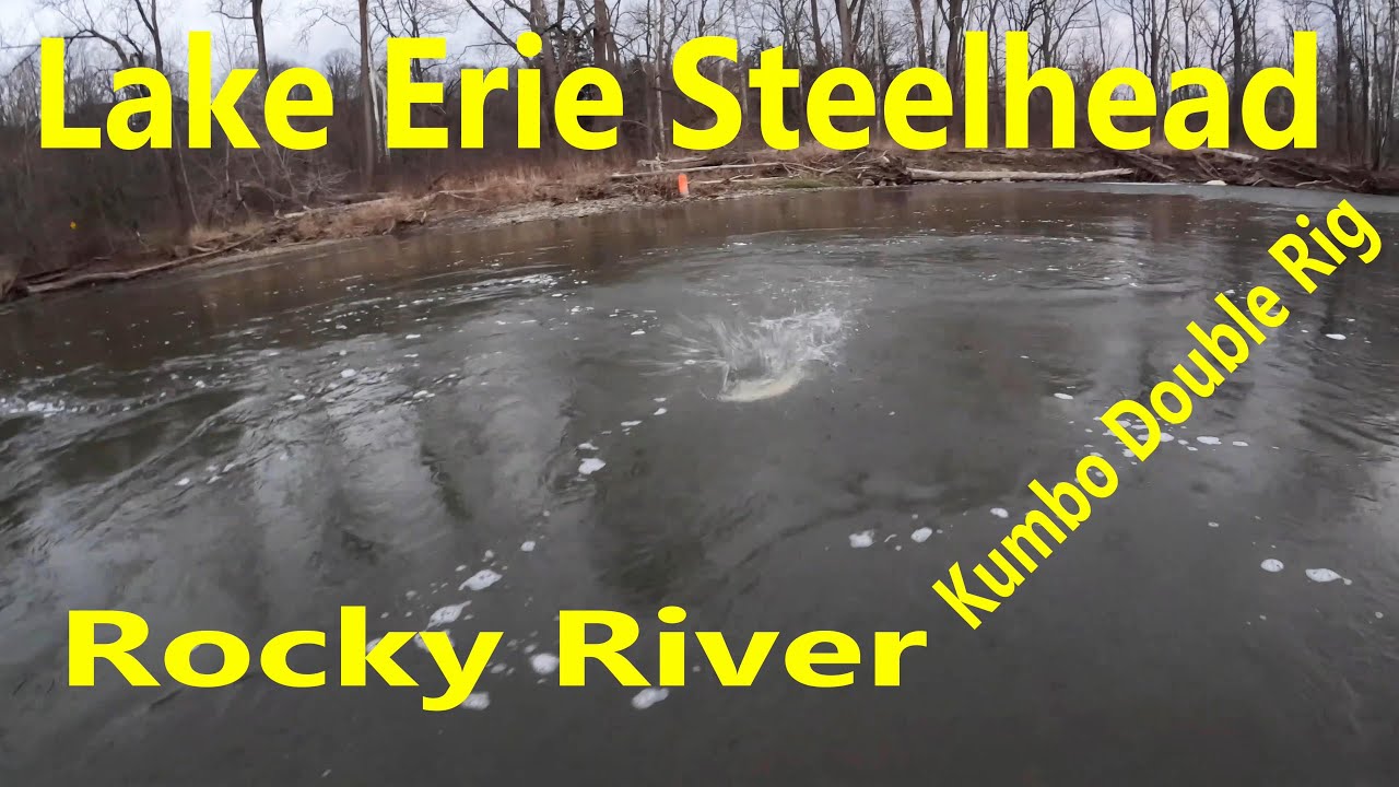 Float Fishing Winter Steelhead In Rocky River -Jan 2023 - YouTube