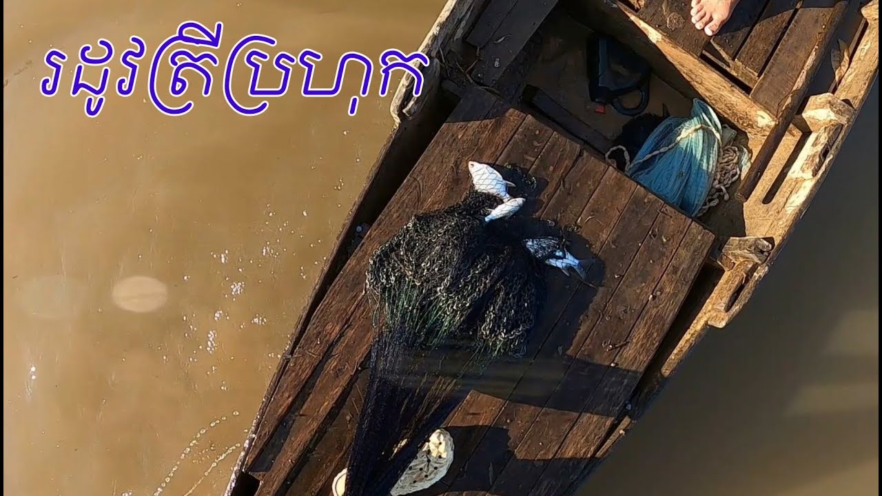 ខែត្រីប្រហុក សម្បូរត្រីណាស់ Amazing Traditional Cast Net Fishing | #617 ...