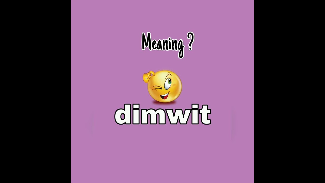 dimwit meaning ? - YouTube