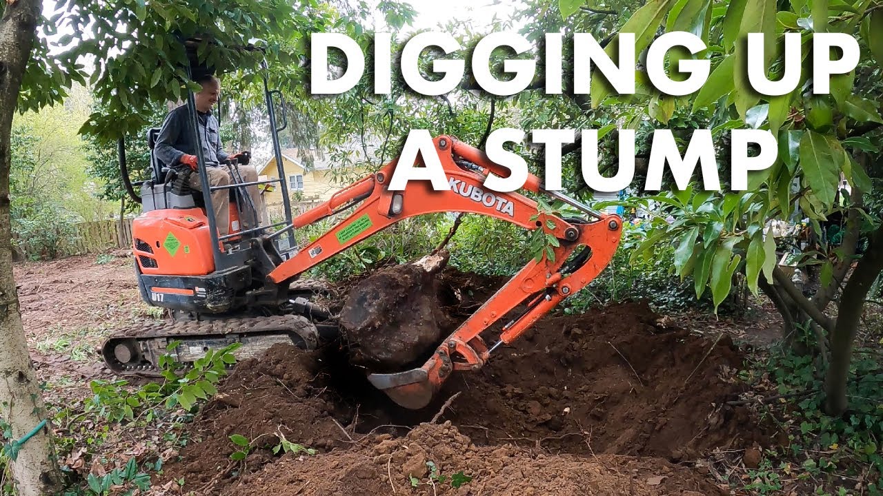 Easy Diggin’ - removing a stump - YouTube
