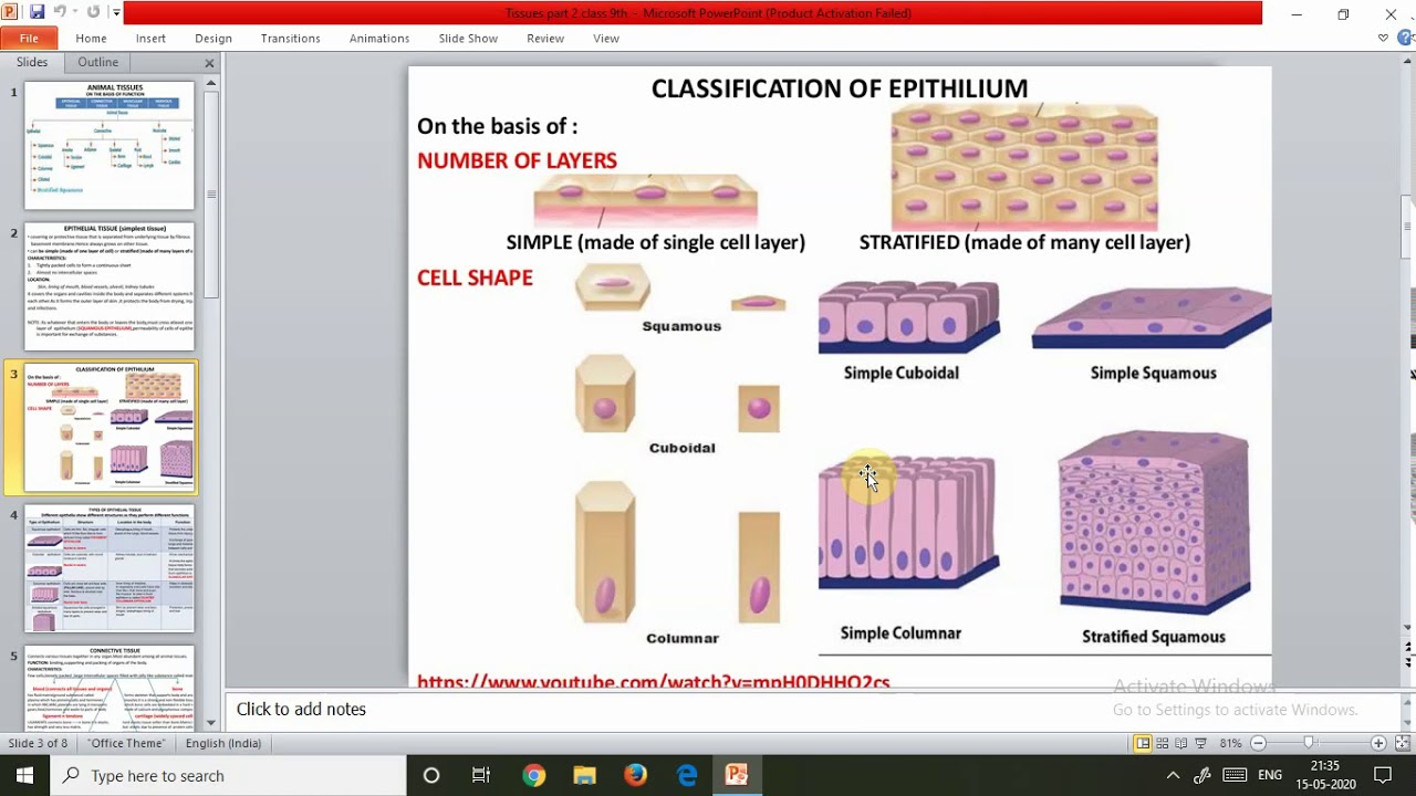 Class 9th Science Chapter 6 final Part YouTube class-9th-science-chapter-6-final-part-youtube