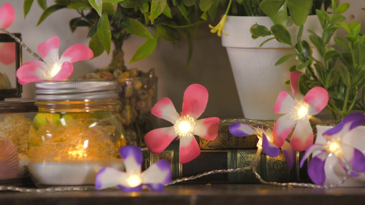 Polyester Daffodil String Light with 10 LED Lights 3LED308 by Evergreen - YouTube
