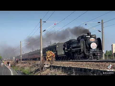 2023/11/04 國王來了DT668 - YouTube